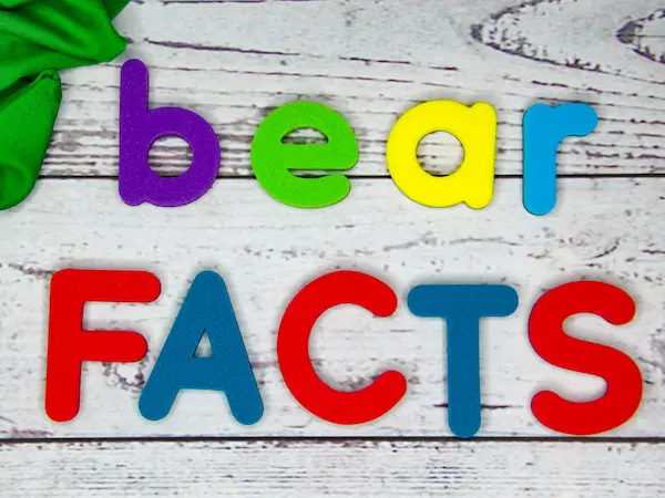 Black Bear Paper Craft Instructions For Kids-Mollers Makes It