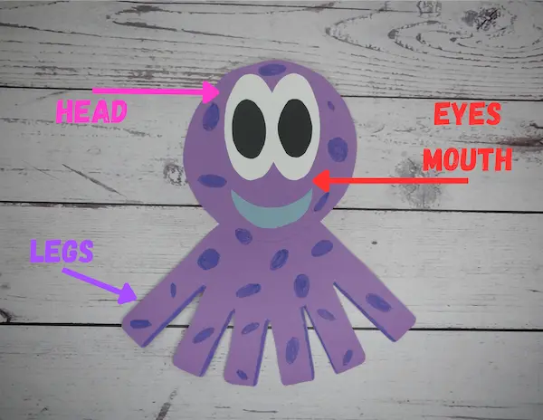 4 Ocean Animal Crafts For Kids- Mollers Makes It