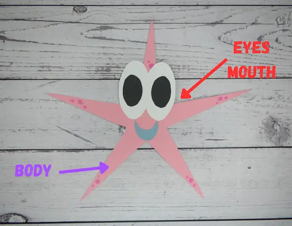 4 Ocean Animal Crafts For Kids- Mollers Makes It