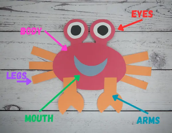 4 Ocean Animal Crafts For Kids- Mollers Makes It